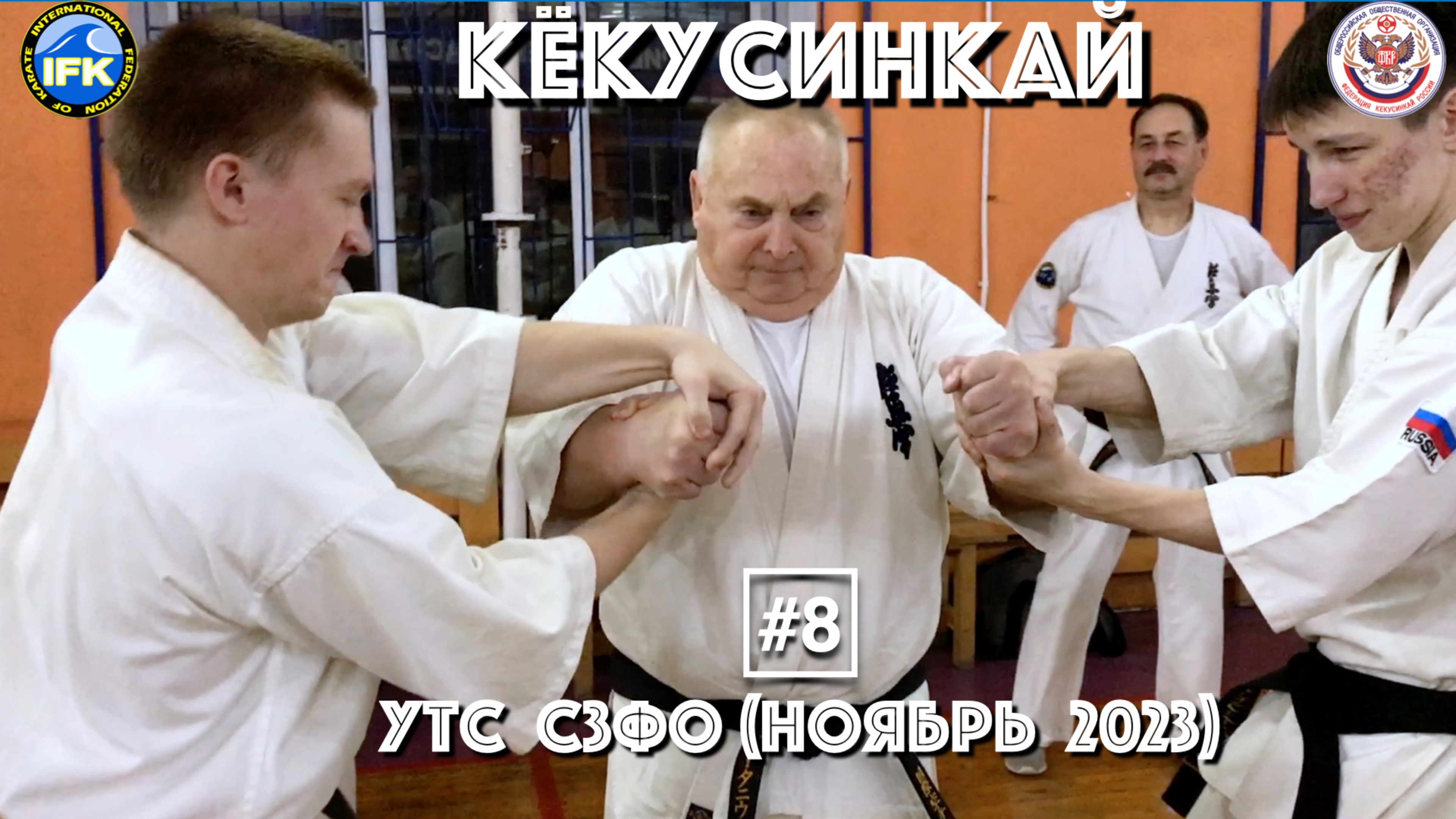 Кёкусинкай / Учебно-тренировочные сборы СЗФО / Сихан Танюшкин / Санкт-Петербург (ноябрь 2023) #8