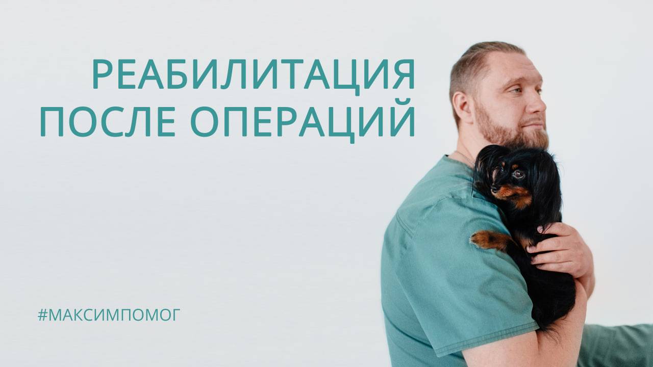 Собака после операции/Методы физической реабилитации животных
