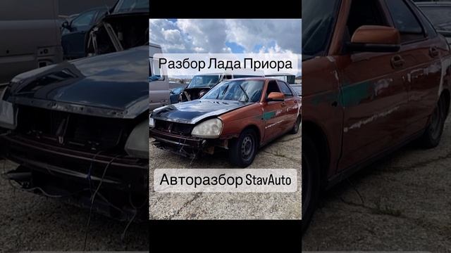Авторазбор StavAuto в Ставрополе