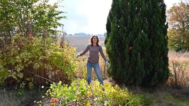 First Design Proposal For Our DIY Yacht  Ep 318 RAN Sailing