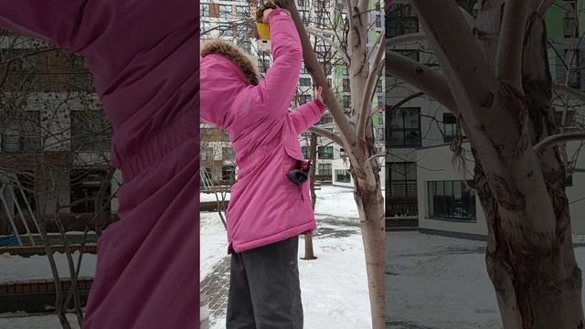 Помогаем птичкам - повесили скворечник!