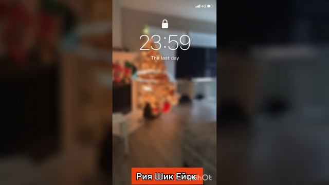 Новогодние котики.