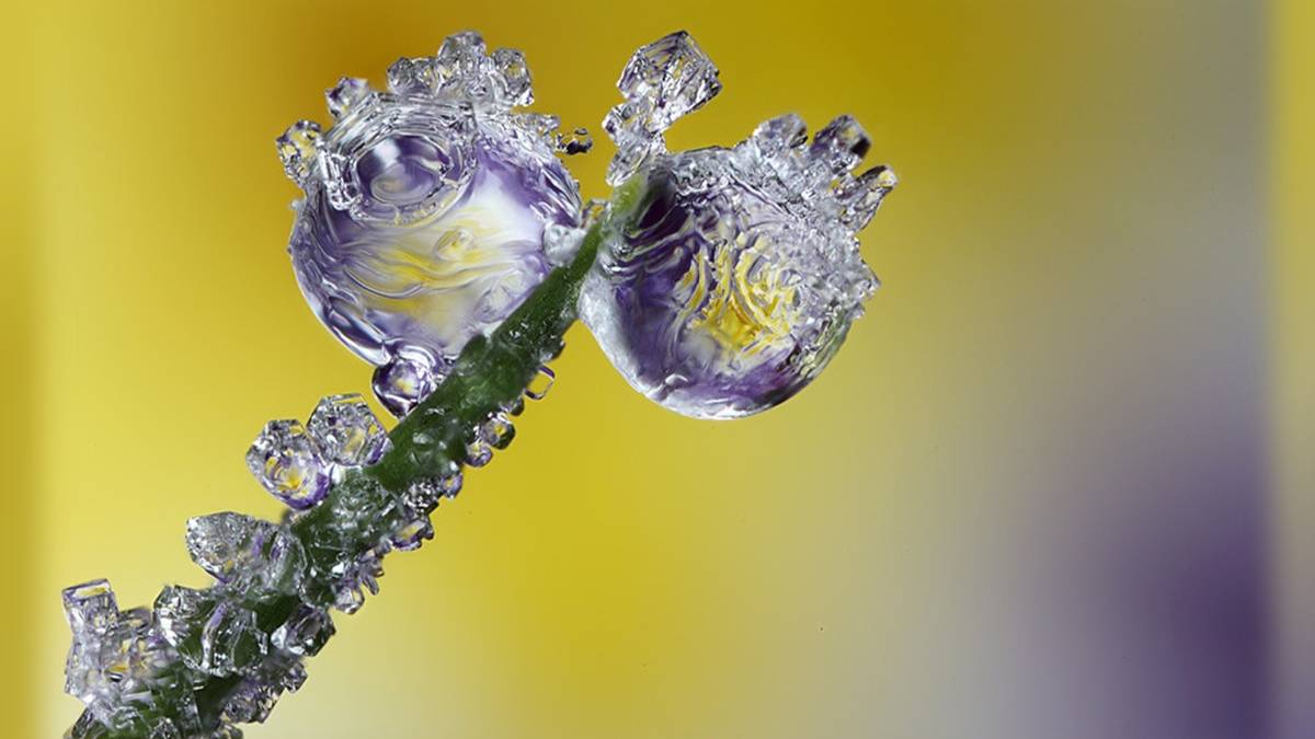 Мир в капле воды (муз. Полёт кондора, гитара Francis Goya, El_Condor_Pasa)