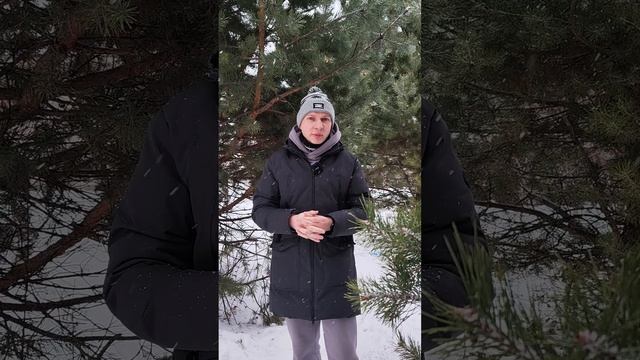 Короткий анонс - Международного конгресса «Пчела и человек: Россия и дружественные страны»
31.12.24