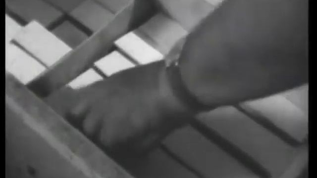 Методы содержания и разведения пчел ч. 2. Таранов Г.Ф. Сделано в СССР!