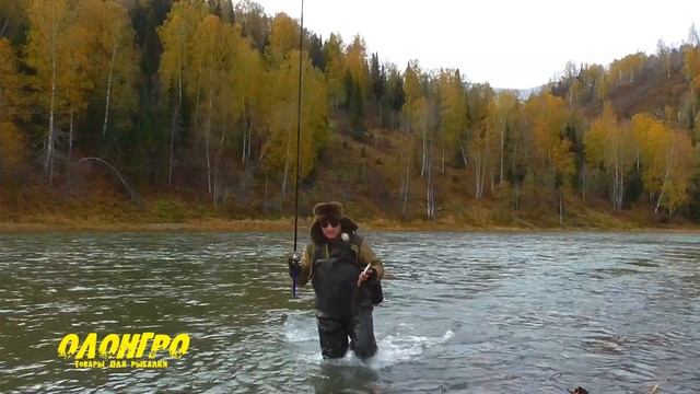 ХАРИУС РЕКИ МРАССУ. Горная шория. Шорский национальный парк.