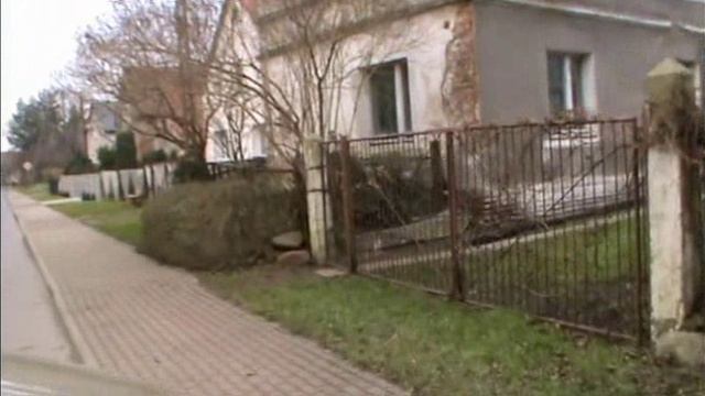 2020 Декабрь Котики и всё там такое