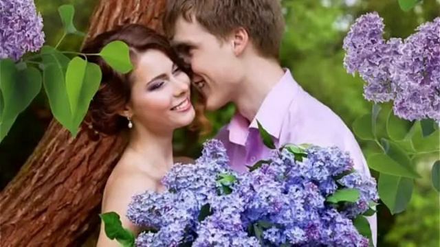 Счастье не кончается