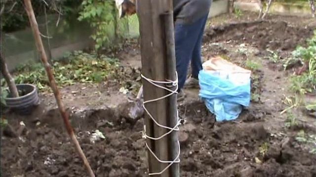 2020 Ноябрь Мама я