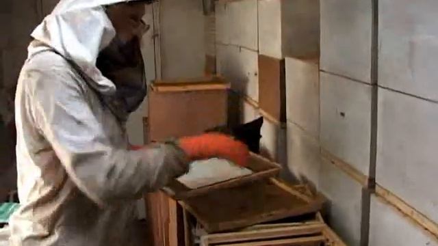Любительское пчеловодство в кочевых павильонах Можейко Владимир