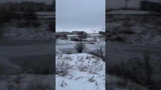 Конный клуб «Малинка»