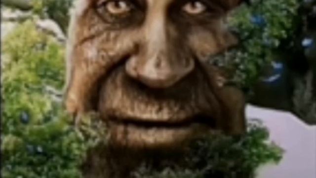 Мудрое дерево мем