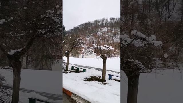 Санаторий " Кавказ" - прощальный аккорд - 30.11.24