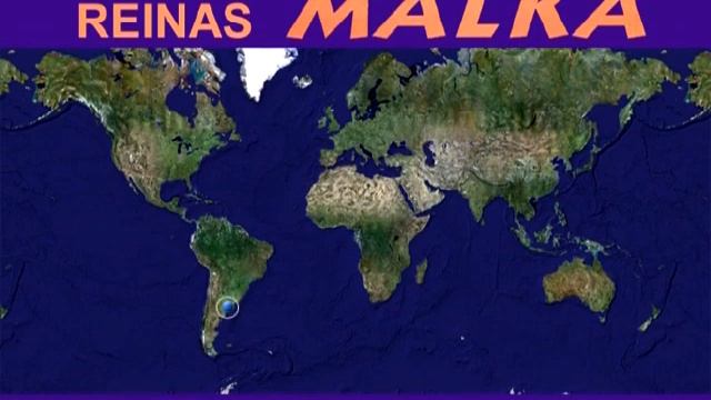 Поставка маток с пасеки Малка Куин из Южной Америки в Европу. Язык испанский.