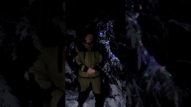 С наступающим 2025 годом, друзья подписчики!