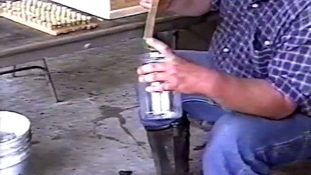 Queen Been Rearing / Вывод маток