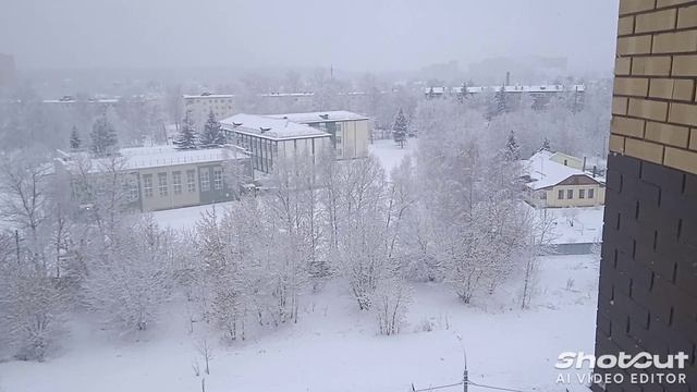 Новогодний гусь фаршированный рисом!!! Поздравляю всех Вас с 2025годом!