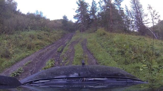 ПРИСТЕГНИТЕСЬ! Идём в СЛОЖНЫЙ подъём на перевал к Чарышу после дождя! Рыбалка на Хариуса. ЧАРЫШ 2024