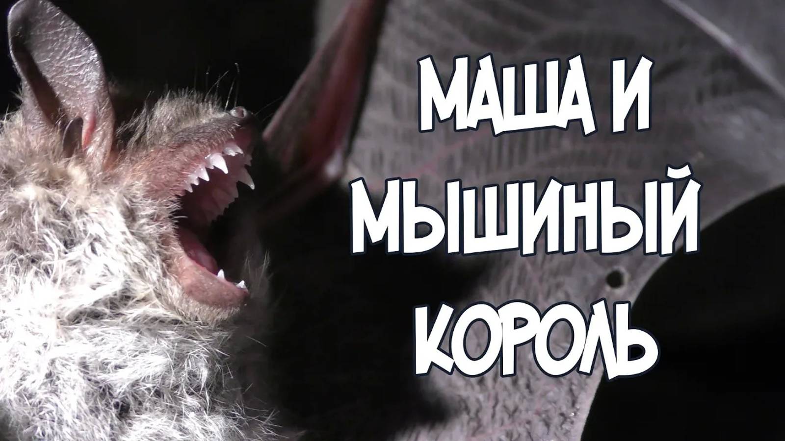 Записки Сибирского Натуралиста 5/7. Маша и Мышиный король