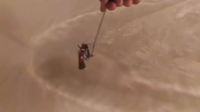 Формирование многомерного закрученного течения в воде по структуре канатной свивки