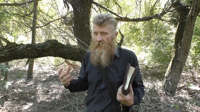 איפה אחיך?   К вам, как к деревьям в лесу. Церковные резервации.(Видеопритча)