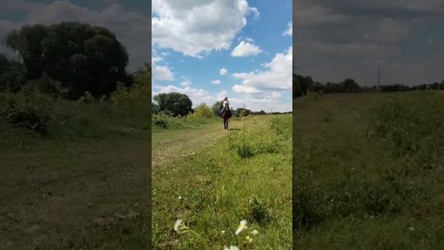 Конный клуб «Малинка»