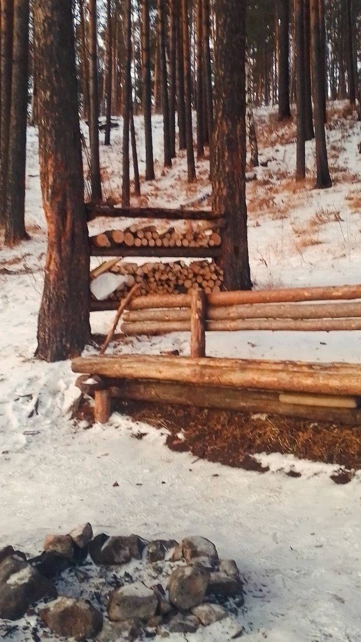 ✨🎄✨С Новым Годом, дорогие друзья! ✨🎄✨