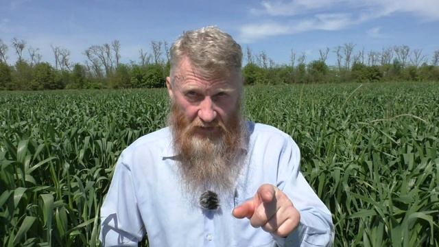 (кгю)   איפה אחיך?  ЧЕТЫРЕ ВСАДНИКА.  ИЗ ЧЕГО СОСТОИТ ЦАРСТВО ГРЯДУЩЕГО ИЕШУА. Конец веков.