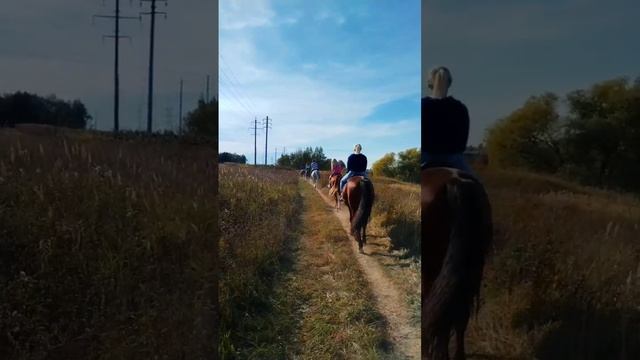 Конный клуб «Малинка»