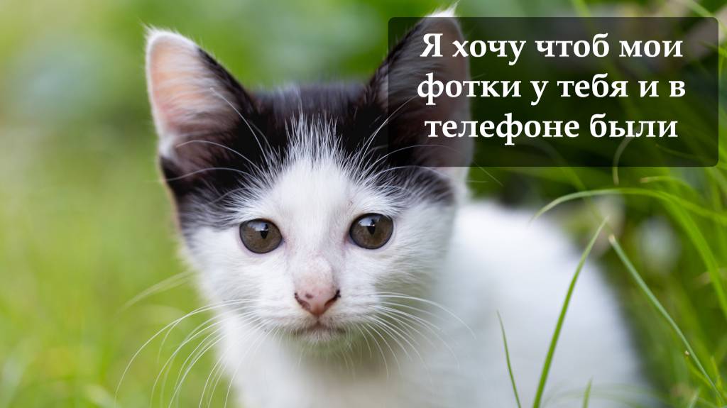 Как скачать фотки с компьютера в телефон