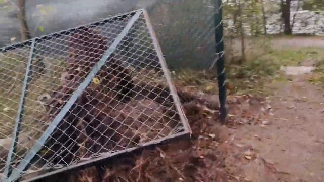 Ужас ! Ураганный ветер