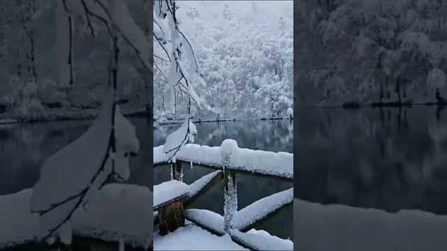 Новогоднее желание