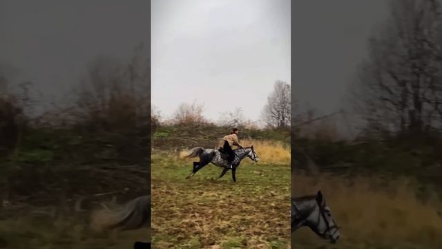 Конный клуб «Малинка»