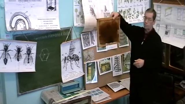 Общий курс пчеловода любителя Лекция №3
