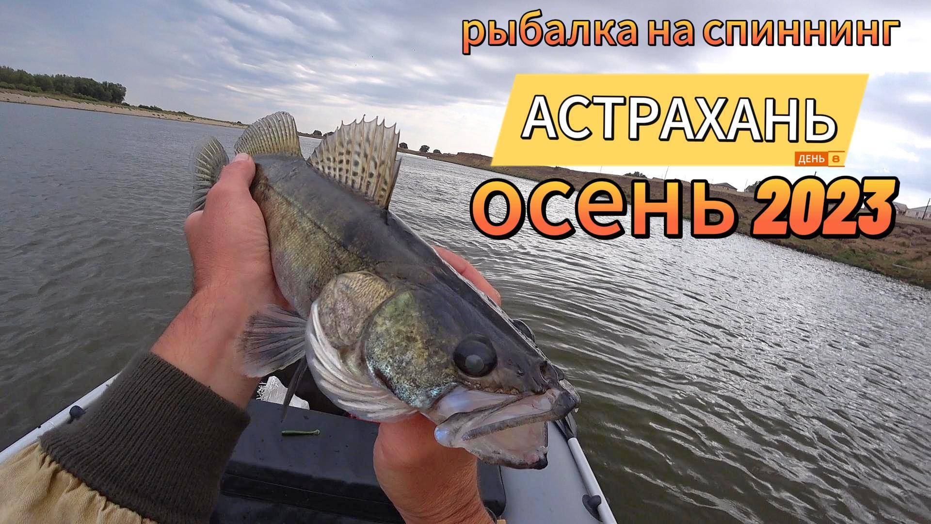 В РЫБАЛКЕ ГЛАВНОЕ - НЕ УПУСТИТЬ! Спиннинг осенью на джиг.