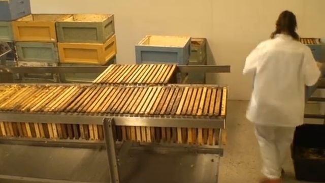 Пасека Юси Финляндия