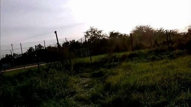 2020 Октябрь Мама я