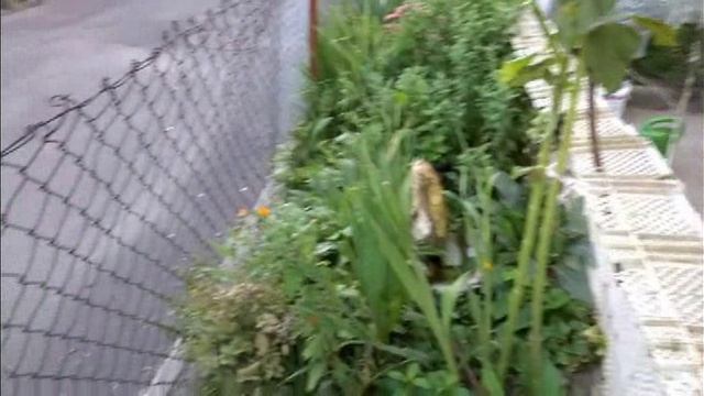 2020 Сентябрь Мама я