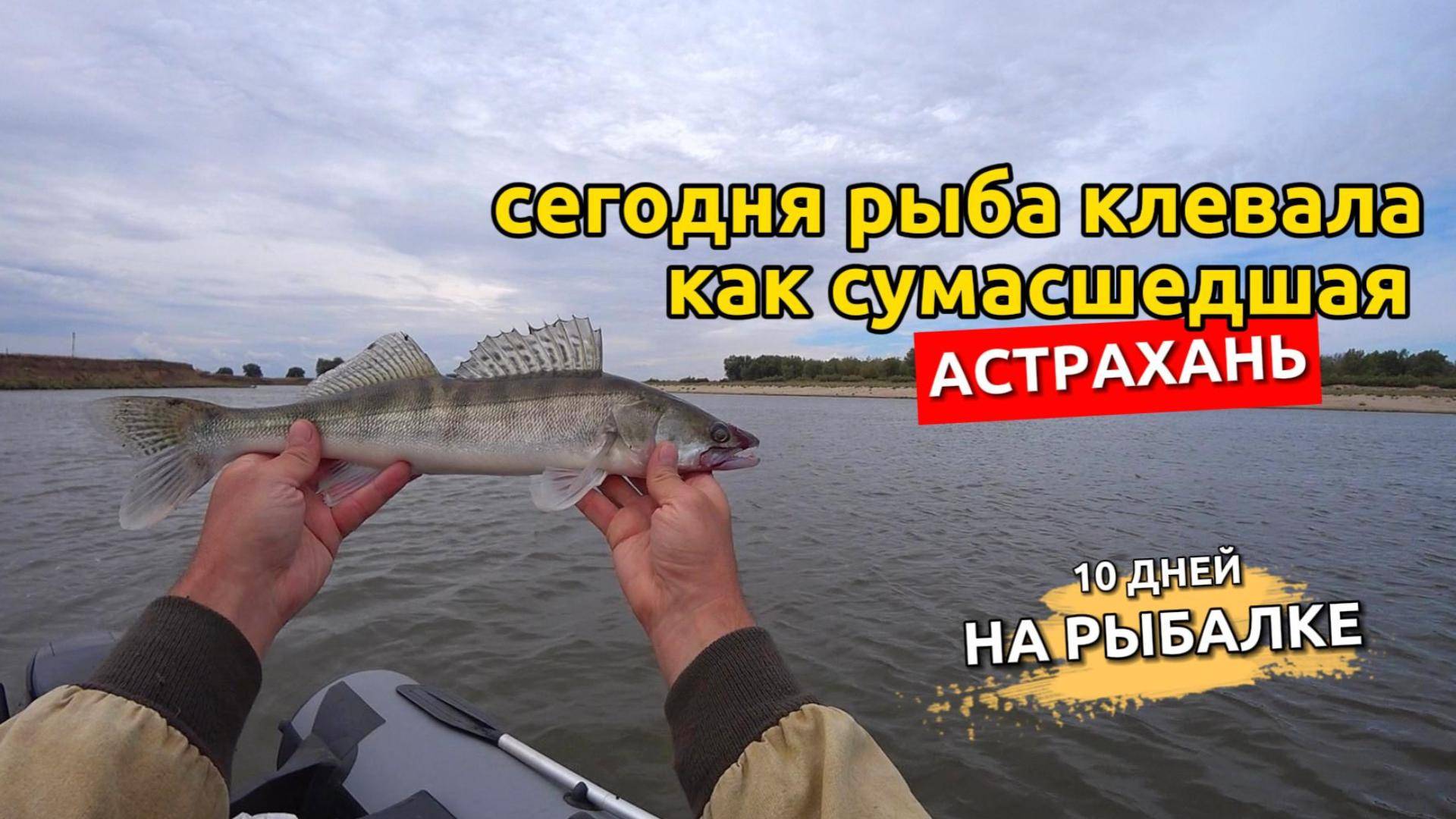 Ого! Сегодня рыба клевала на каждом забросе. Рыбалка на спиннинг. Коротко о главном.