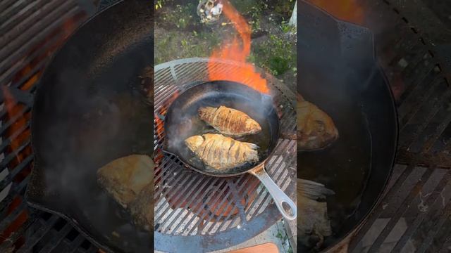 Жареный карась