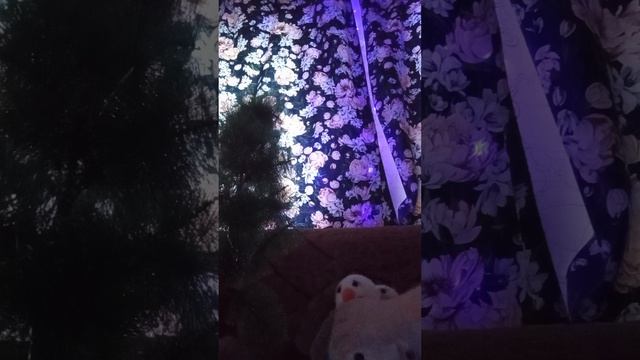 Поздравляю вас с 2025 годом!