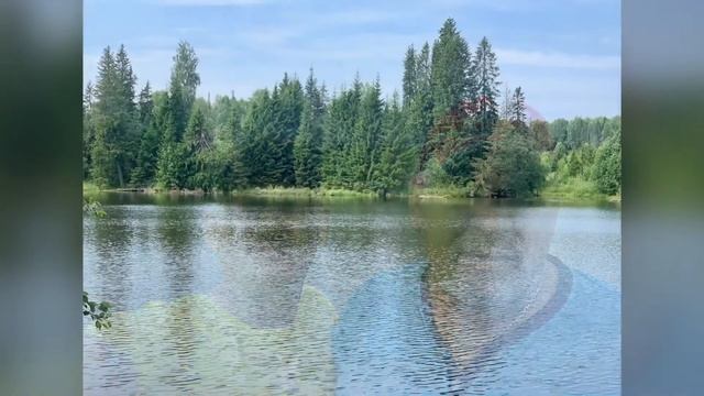 Охота на кабана 2020г (никто не пострадал)