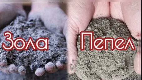 Зола и пепел в чем разница?