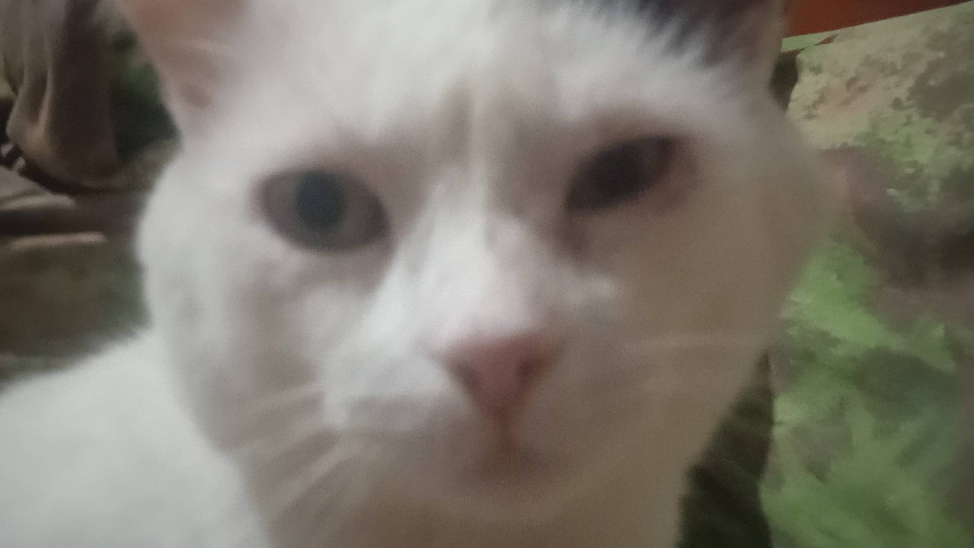 Побудь 10 минут с Карасиком