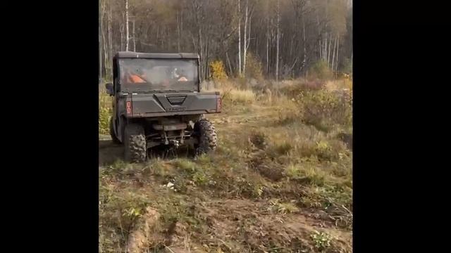 Добыт лось из-под лаек