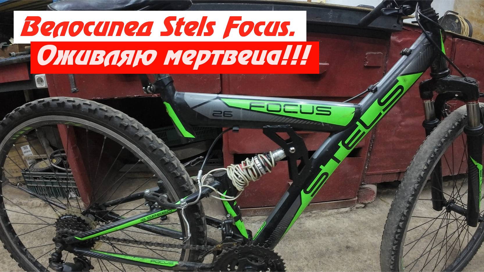 Stels Focus. Оживление мертвеца по бюджету. Из рубрики ВЕЛО-ДИЧЬ и Благотворительность!