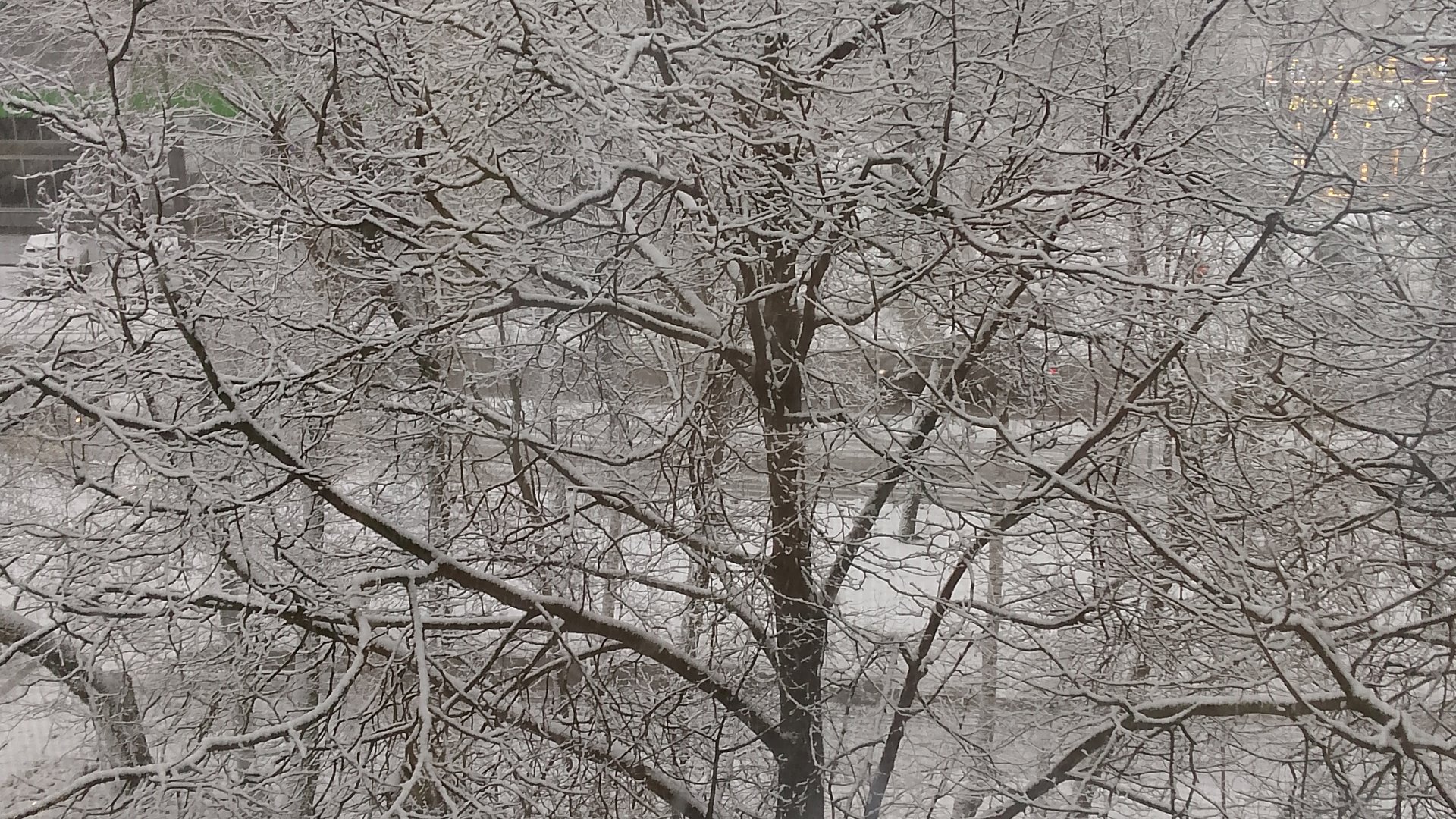 Юху с новым годом