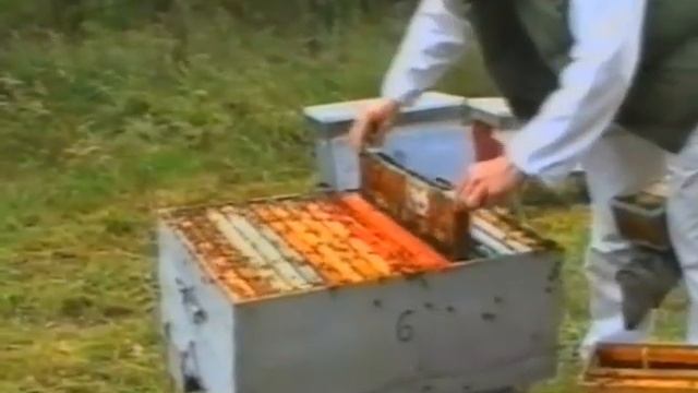 OPIDA Ролик №1 Вывод пчелиных маток Франция