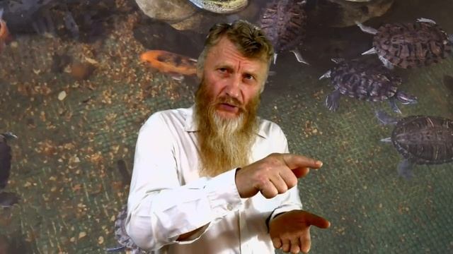 "ТЕЛО ХРИСТА" в контексте Израиля.     איפה אחיך? (שמואל)