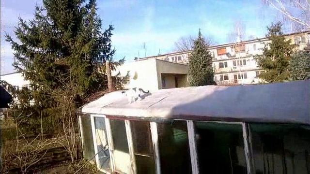 2020 Январь Мама я